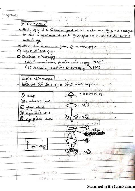 Solution Cell Structure Studypool