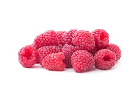Raspberry Isolated Raspberry On White Stock Image Image Of Isolated Sweet 262894119