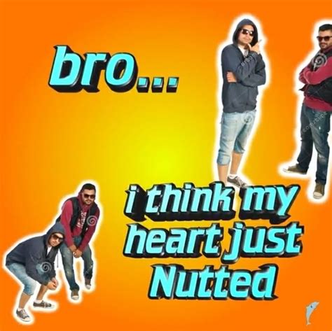 No Homo Bro Memes