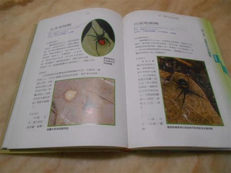 臺灣常見蜘蛛圖鑑 精裝 銅版彩印 陳世煌 行政院農委會 絕版 近全新 露天市集 全台最大的網路購物市集