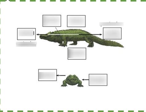 Physiological Psych Anatomy Diagram Quizlet