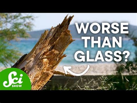 Here S What Happens If You Don T Remove A Splinter Thrillist