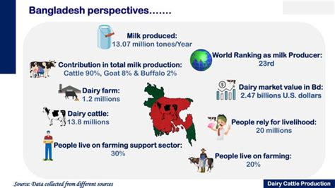Overview Of Dairy Cattle Production Pdf