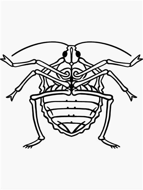 Stink Bug Black Outline Sticker For Sale By Its Bloop Redbubble