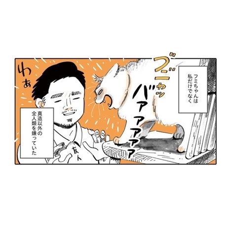 ＜画像91 91＞うちの猫は仲が悪い第1回～第15回｜ウォーカープラス