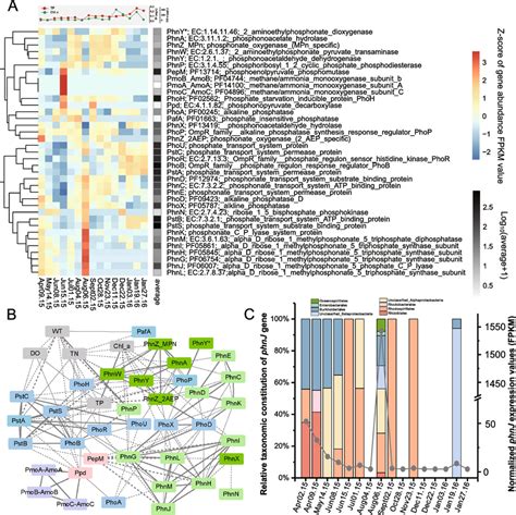 Metatranscriptomic Analysis And Environmental Relationships Of Genes Download Scientific