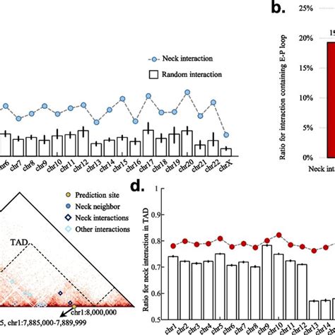 Characterization Of Neck Interactions In The Context Of Chromatin Download Scientific Diagram