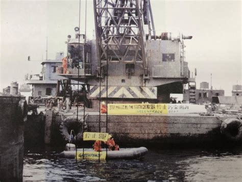 【成果回顧系列】綠色和平2001年大事記 Greenpeace 綠色和平 香港