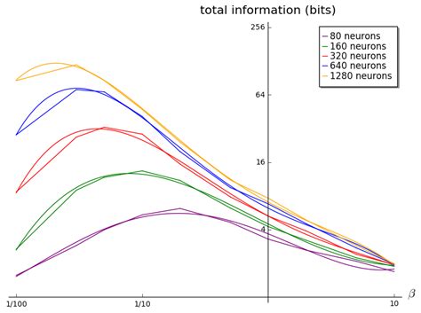 Overall Information Capacity Of Several Network Sizes With Regard To Download Scientific