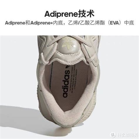 三叶草和阿迪达斯 随意云