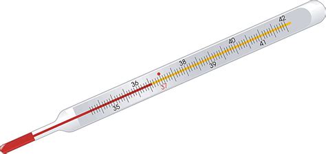 Mercury Thermometer White Linear Ui Icon Symbol App Icon Vector Symbol
