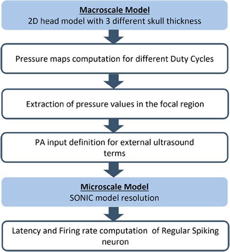 Frontiers Evaluation Of The Effects Of Focused Ultrasound Stimulation On The Central Nervous