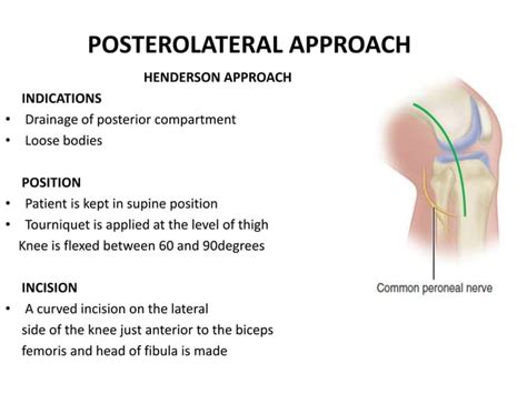 Posteromedial And Posterolateral Approach To Knee Pptx Death