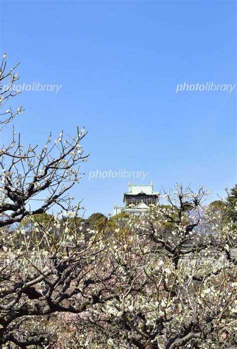 Photolibrary
