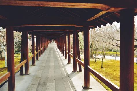 Premium Photo Japanese Temple Columns Stretching Into Distance