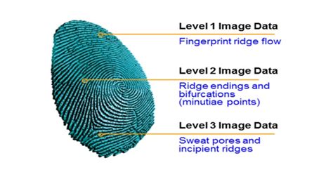 Samsung Galaxy S10 To Use Qualcomms Third Gen Ultrasonic Fingerprint