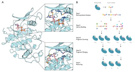Computational Fragment Merging Strategy For Efficient Hit To Lead