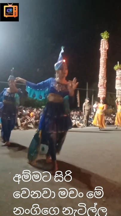 නංගිත් ලස්සනයි නංගිගේ නැටුමත් ලස්සනයි පට්ට කාවඩි පාරsubscribe කරන්න