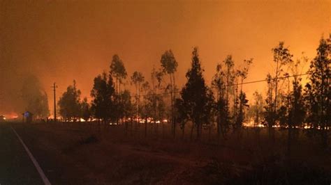 Balance Incendios Forestales Dos Comunas Con Alerta Roja Y Cinco
