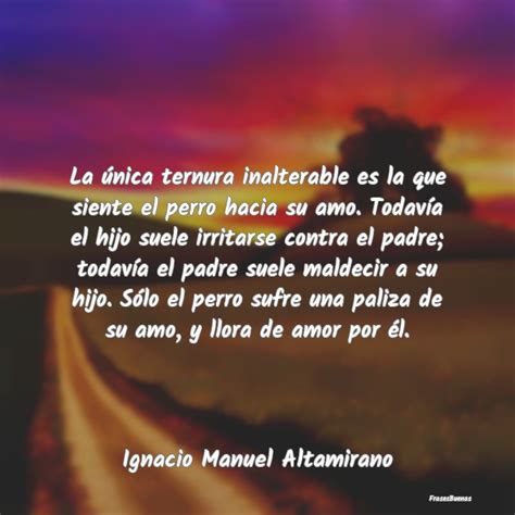 Frases De Ternura Pag 3 Frasesbuenas