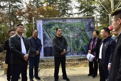 【马路办公】夏磊带队调研翠云峰城市公园和翠云阁项目建设及瀍涧大道征迁绿化工作澎湃号·政务澎湃新闻 The Paper