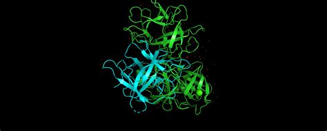 From Llama To Prollama Gpt To Protgpt Revolutionizing Drug Discovery With Protein Language