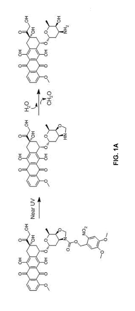 Anthracycline Prodrugs And Methods Of Making And Using The Same Eureka Patsnap