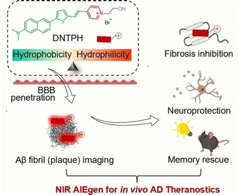 Near‐infrared Aggregation‐induced Emission Luminogens For In Vivo Theranostics Of Alzheimers