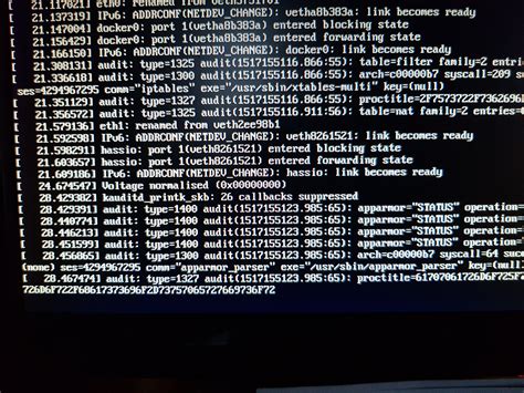 Hass Io Does Not Boot During The First Launch Home Assistant Os