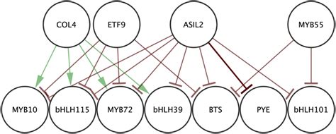Experimentally Validated Regulatory Relationships Validated