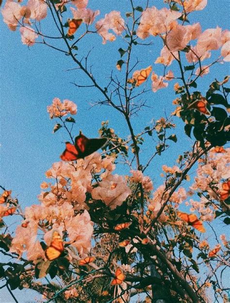 🔥 40 Spring Blue Aesthetic Laptop Wallpapers Wallpapersafari