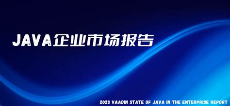 2023 Java 企业市场报告 世开 Coding