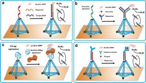 The Tetrahedron Structured Probe Tsp Based Biosensing Platform For