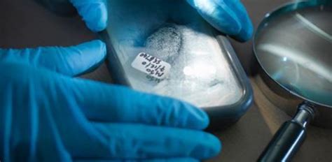 A Quiz On Forensic Science Attempts 1461 Trivia And Questions