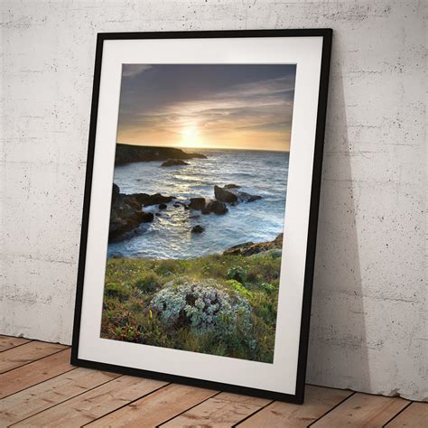 Mendocino Headlands State Park Poster By Alan Majchrowicz