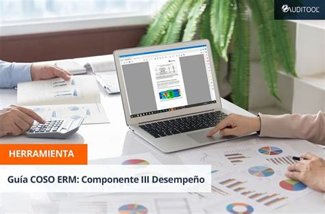 Guía Coso Erm Componente Iii Desempeño