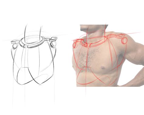 Proko Shoulder Bones Assignment By Keantheghost On Deviantart