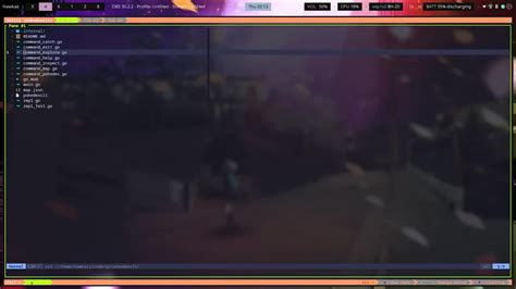 Golang Cli Learningproject Apiintegration Parthib Mukherjee