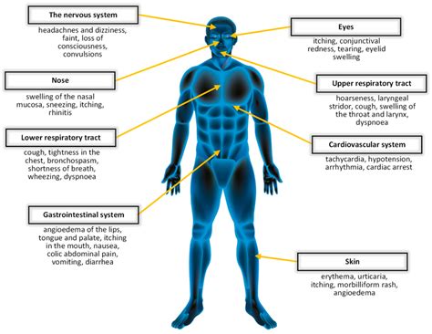 Taxonomy Of Hymenoptera Download Scientific Diagram