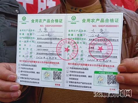 安顺要闻全省第一张食用农产品合格证书开具 澎湃号政务 澎湃新闻 The Paper
