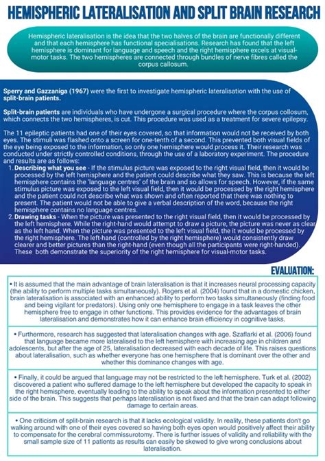Summary Hemispheric Lateralisation And Split Brain Research A Notes For A Level Psychology