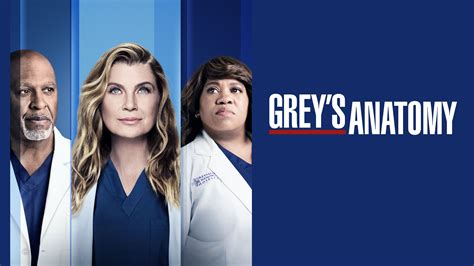 Watch Greys Anatomy · Season 19 Full Episodes Online Plex