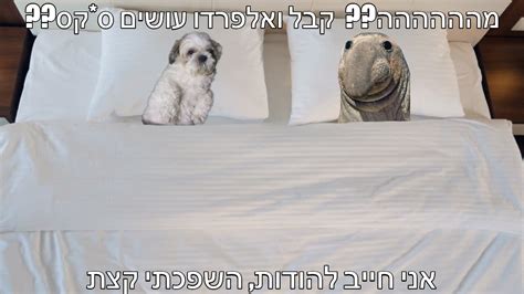 אלפרדו הזופיל בתחת יש לו פיל ים ואמא שלו זונה כי אני זיינתי אותה Rkebellore