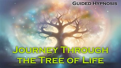 Journey Through The Tree Of Life A Guided Hypnosis Experience Youtube