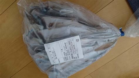 【ふるさと納税】静岡県西伊豆町の干物セットが届きました。2022年10月14日 ていくログ