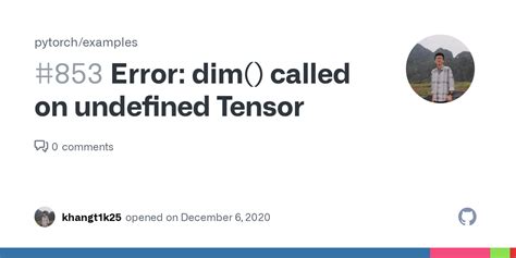 error dim called on undefined tensor · issue 853 · pytorch examples