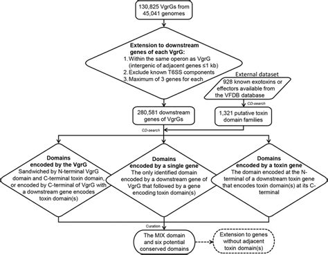 the detailed identification workflow for conserved domains with