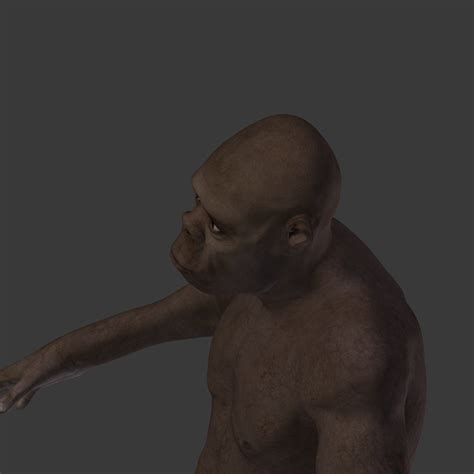 Australopithecus 3d Model 19 Blend Dae Fbx Free3d