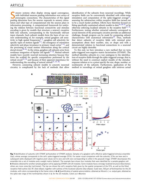 Solution Inference Of Neuronal Functional Circuitry With Spike
