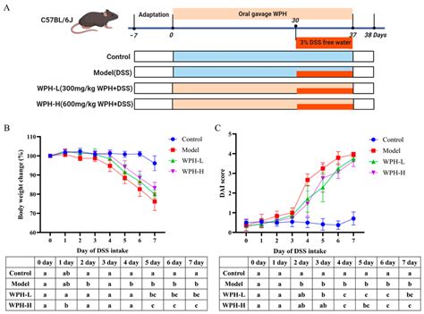 Effect Of Whey Protein Hydrolysate Intervention On Gut Microbes In Download Scientific Diagram